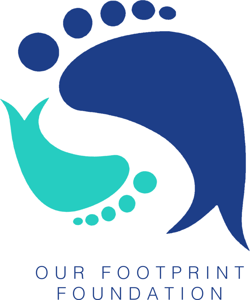 ourfootprintfoundation.com – Dedicated to tackling climate change and ...
